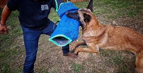 Arm Guards For Biting Viper Adjustable Dog Bite Sleeve (3-Level Bite ...