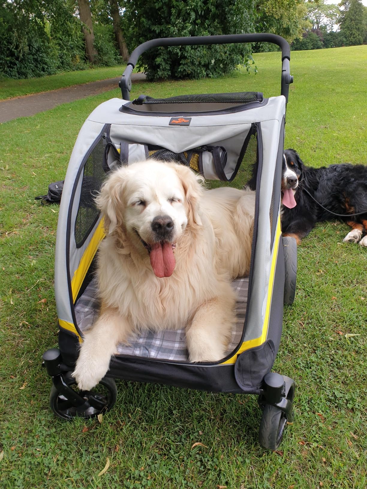 BingoPaw Large Dog Stroller Buggy: 4 Oversized Wheels Heavy Duty Pet ...