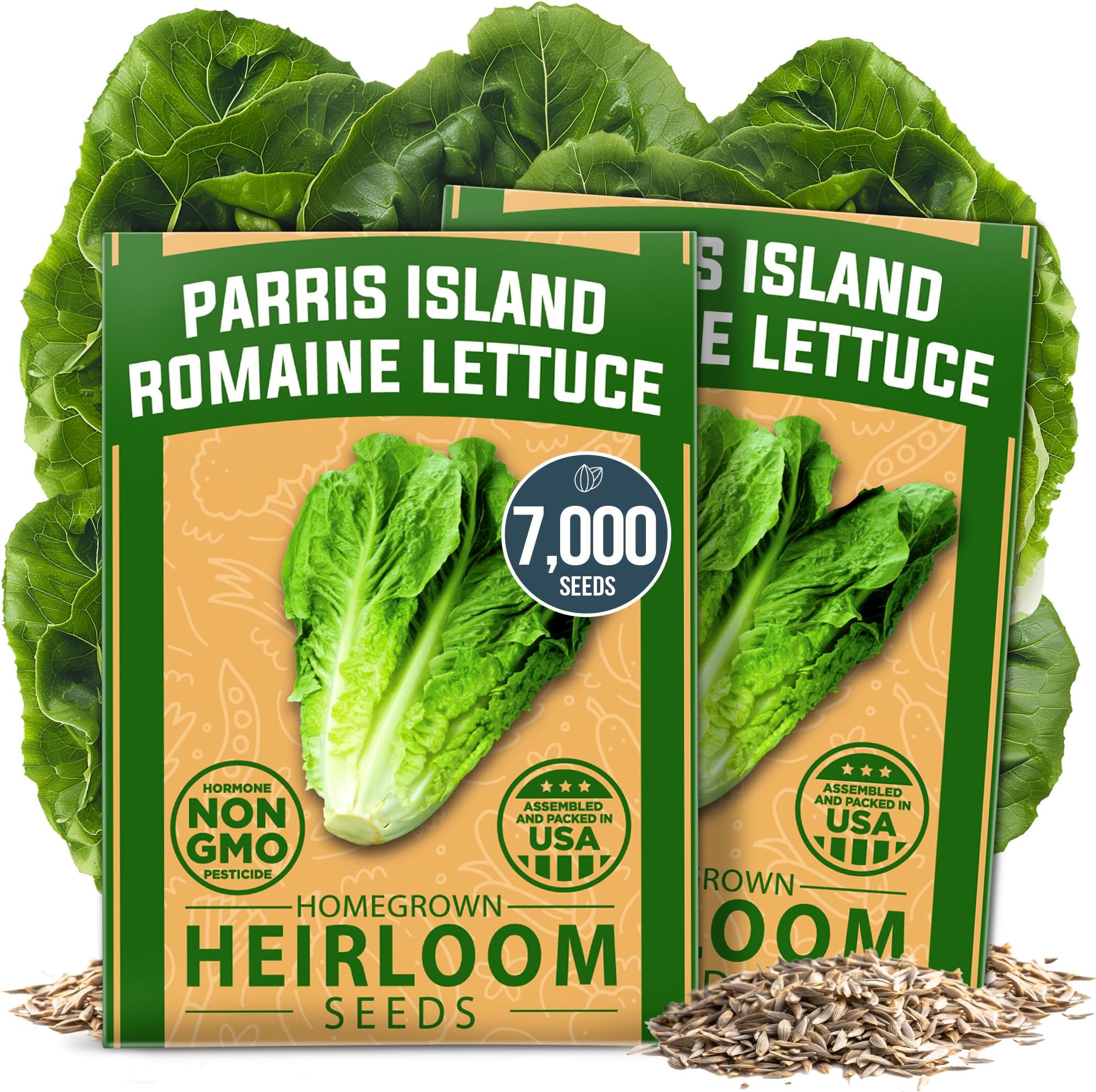 Amazon.com : HOME GROWN Romaine Lettuce Seeds, Paris Island Bulk Pack ...