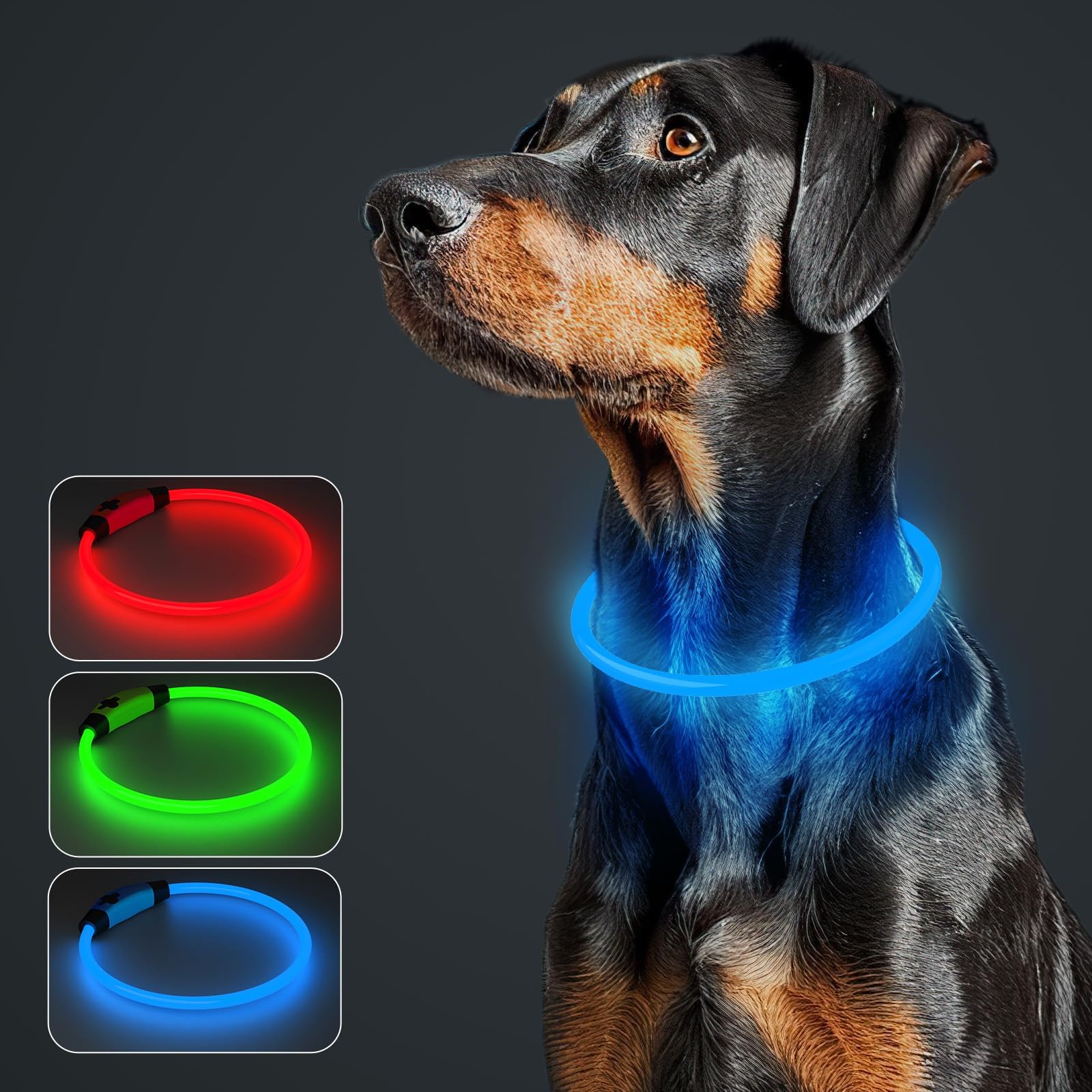 Amazon.com : Light up Dog Collar for Night Walking Rechargeable, Led ...
