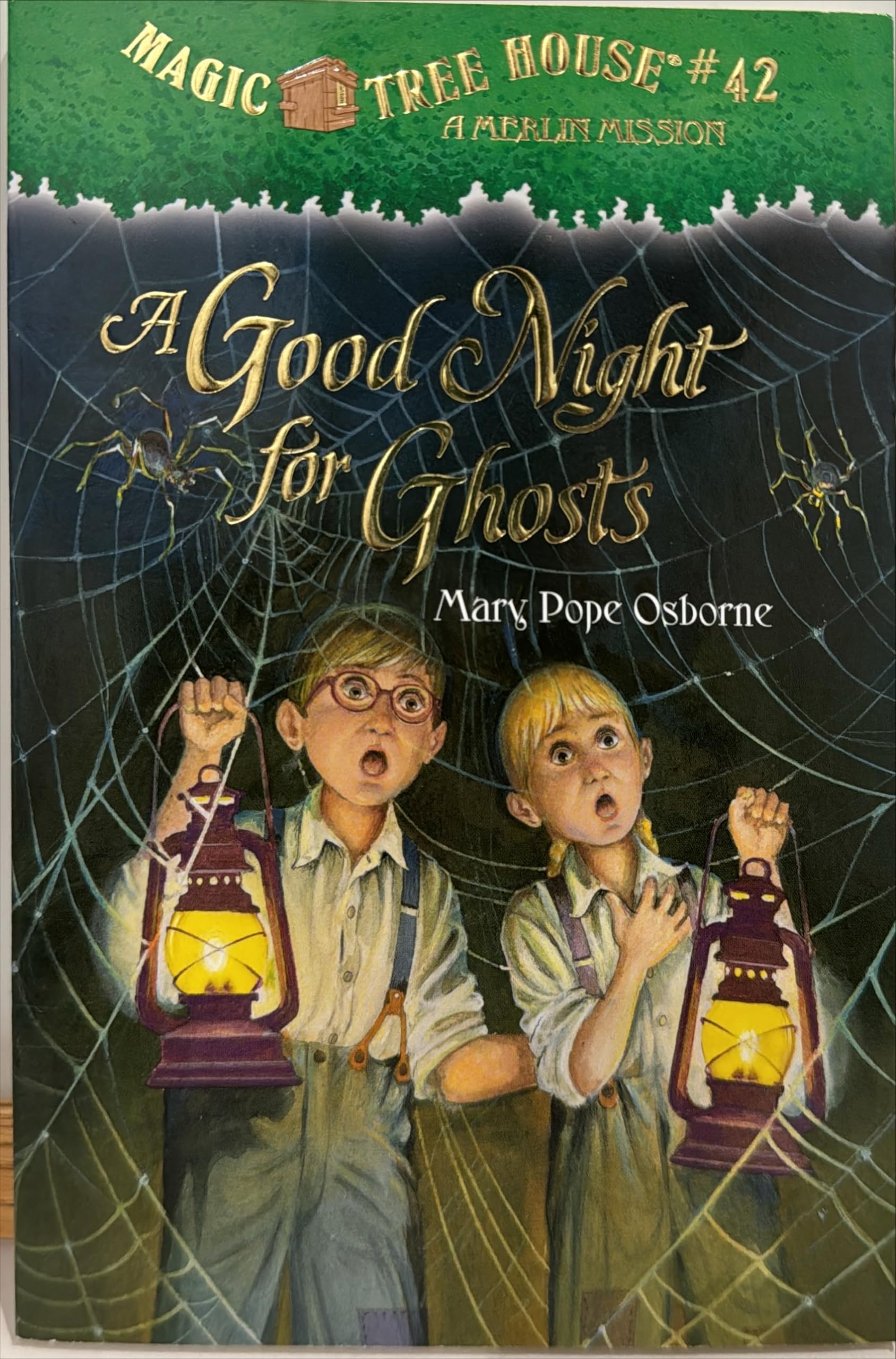 A Good Night for Ghosts: Magic Tree House A Merlin Mission #42: Mary ...
