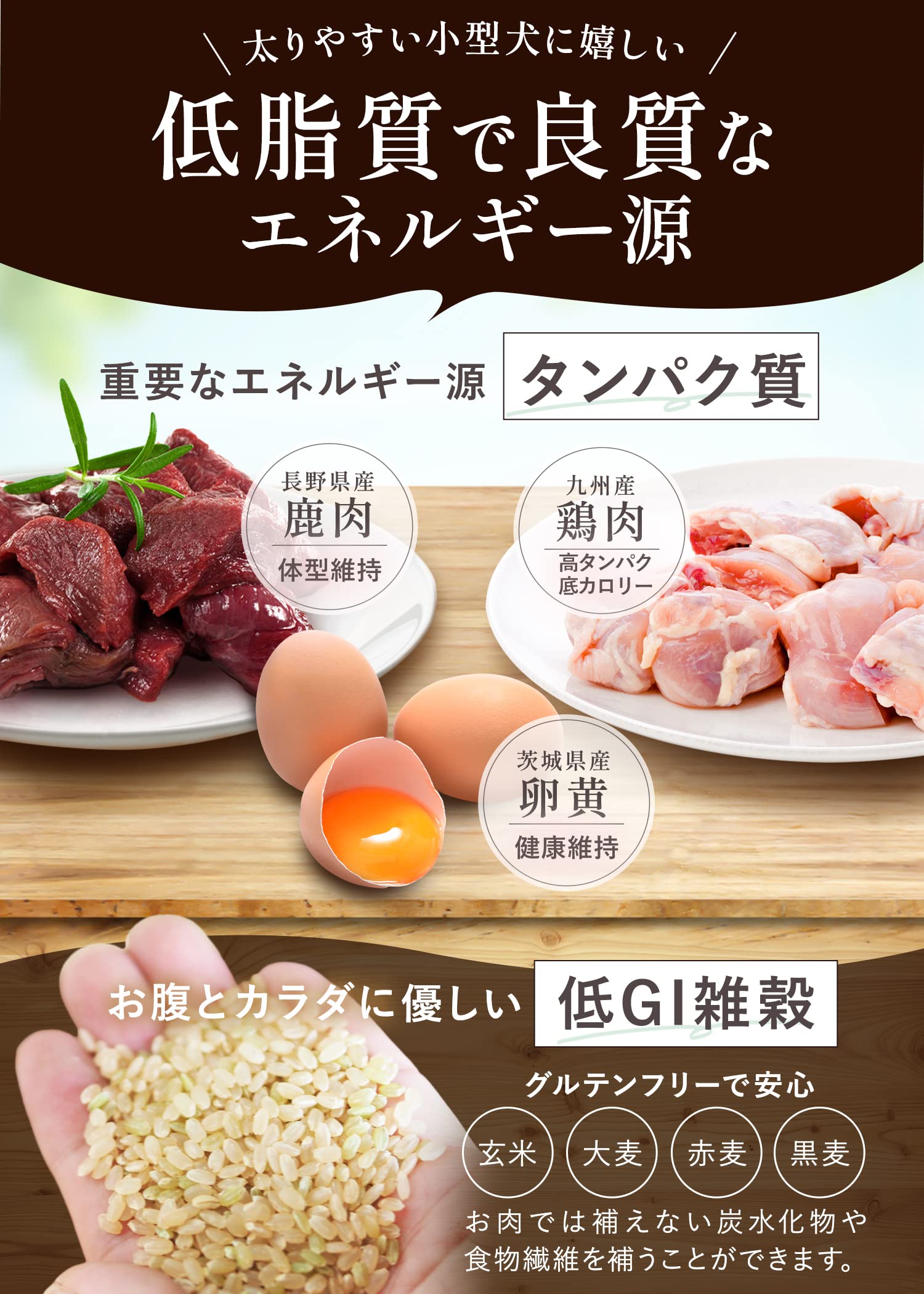 最上の品質な GLEBOグレボドッグフード100gサンプルお試し kochi-ot.main.jp