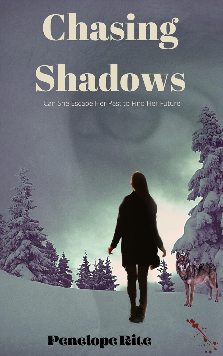 Amazon.com: Chasing Shadows: Can She Escape Her Past to Find Her Future ...