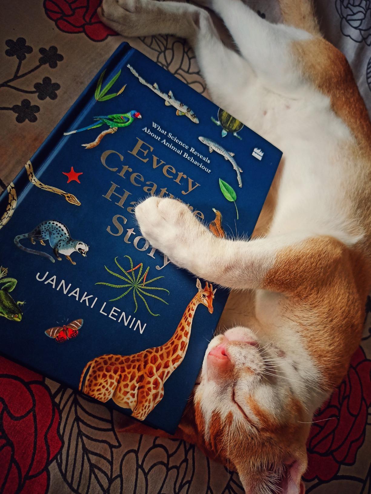 Buy Every Creature Has a Story : What Science Reveals About Animal ...