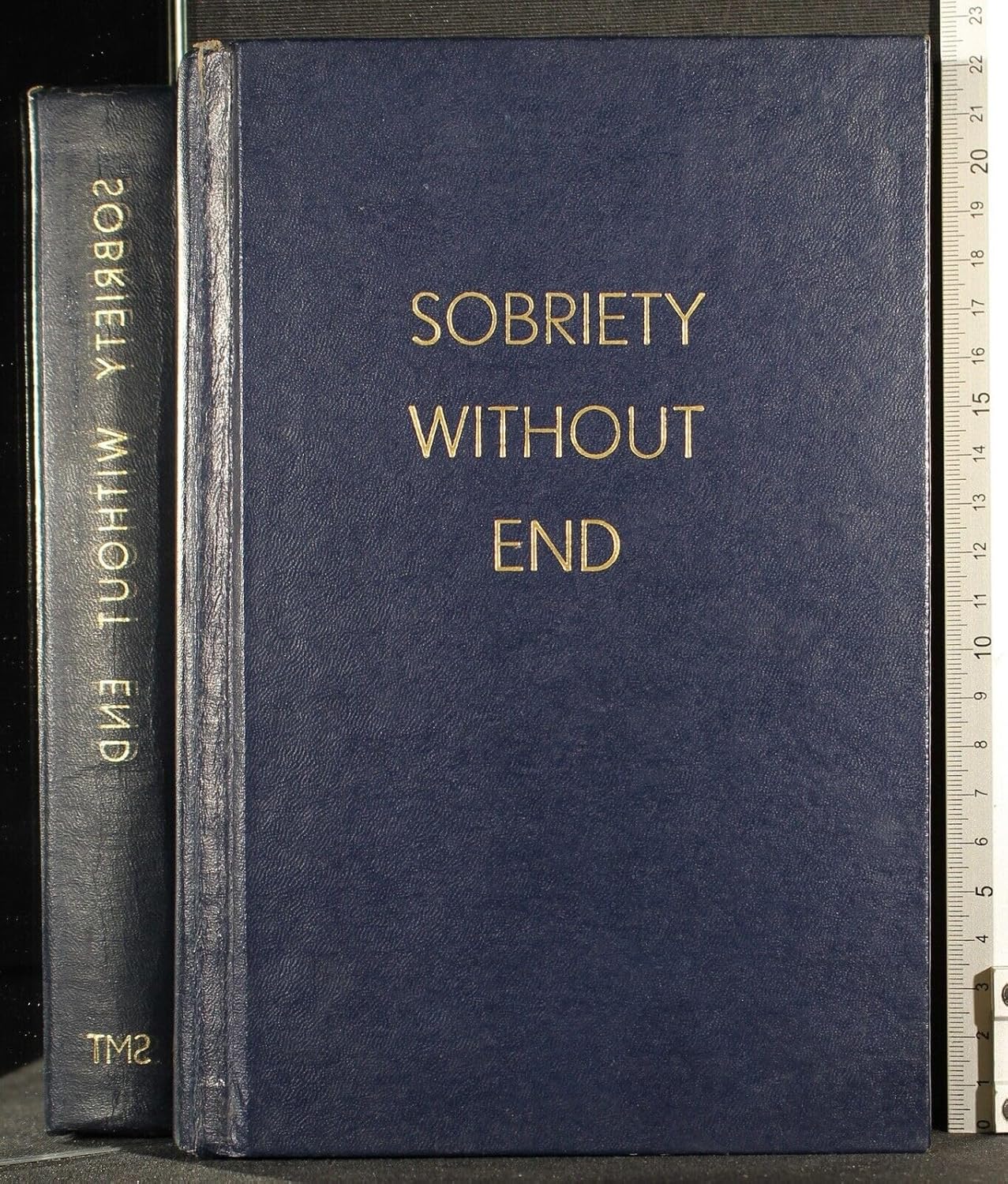 Sobriety Without End: Doe, Father John (Pfau, Ralph): Amazon.com: Books