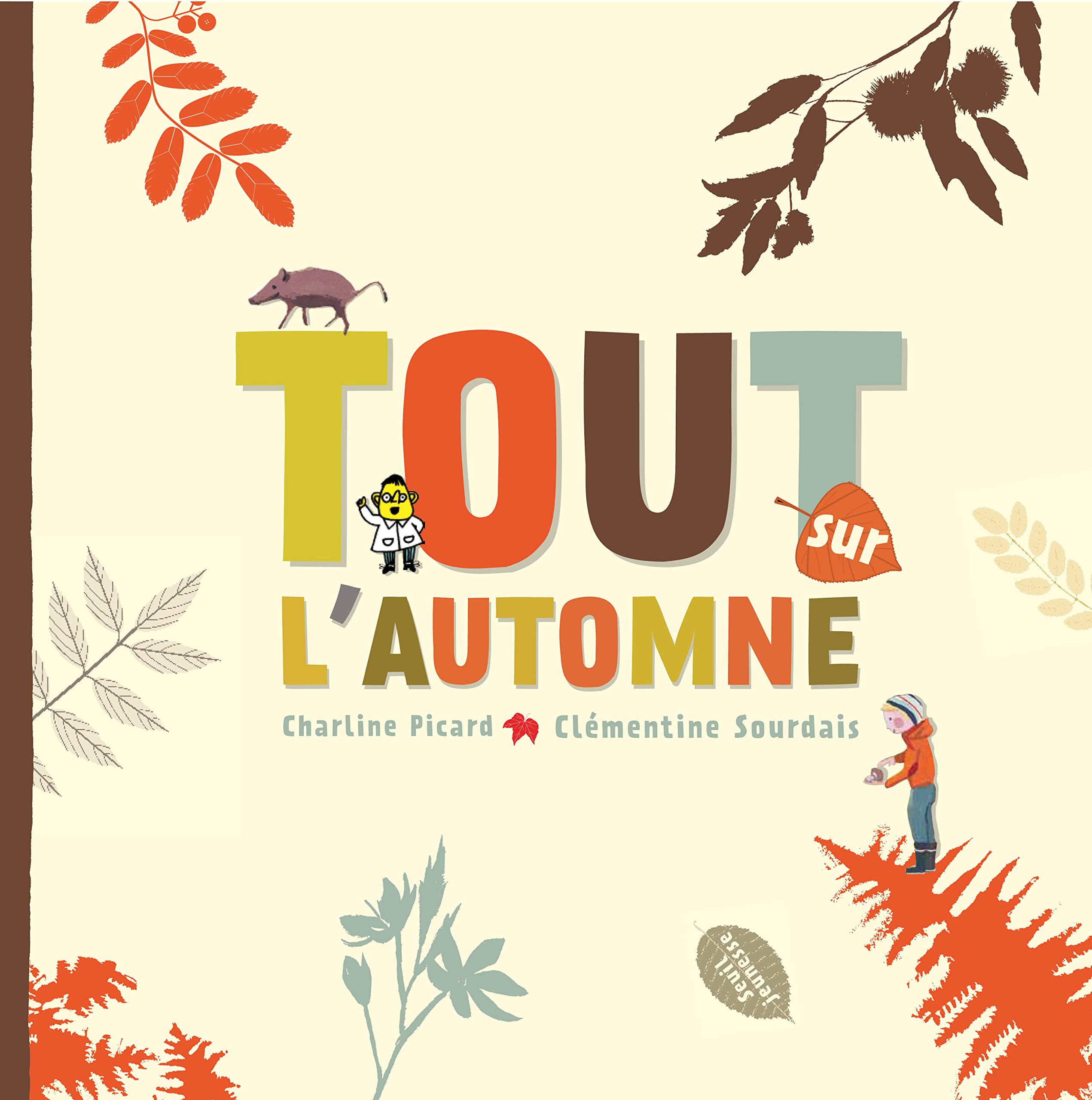 Tout sur l'automne : Picard, Charline, Sourdais, Clémentine: Amazon.fr ...