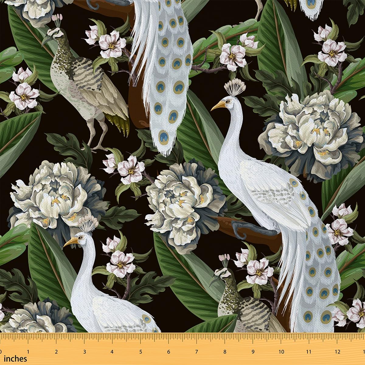 Pavo Real Blanco Wallpaper