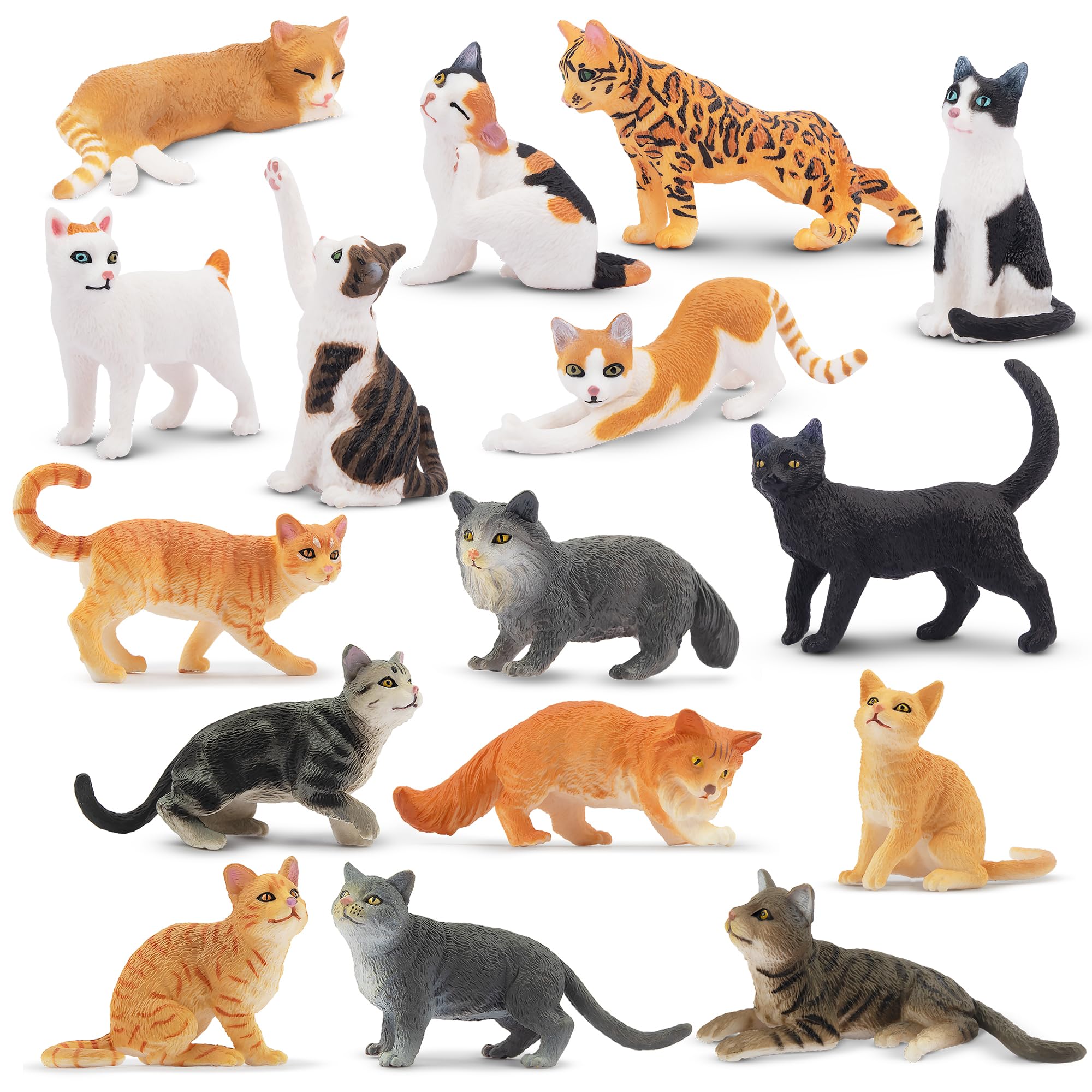 Amazon.com: Toymany 16PCS Realistic Cat Figurines, Educational Cat ...