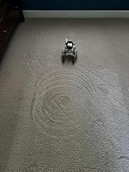 Amazon.com: Loona: Your Adorably Intelligent Petbot - Chat GPT-4o Enabled with Voice Command ...