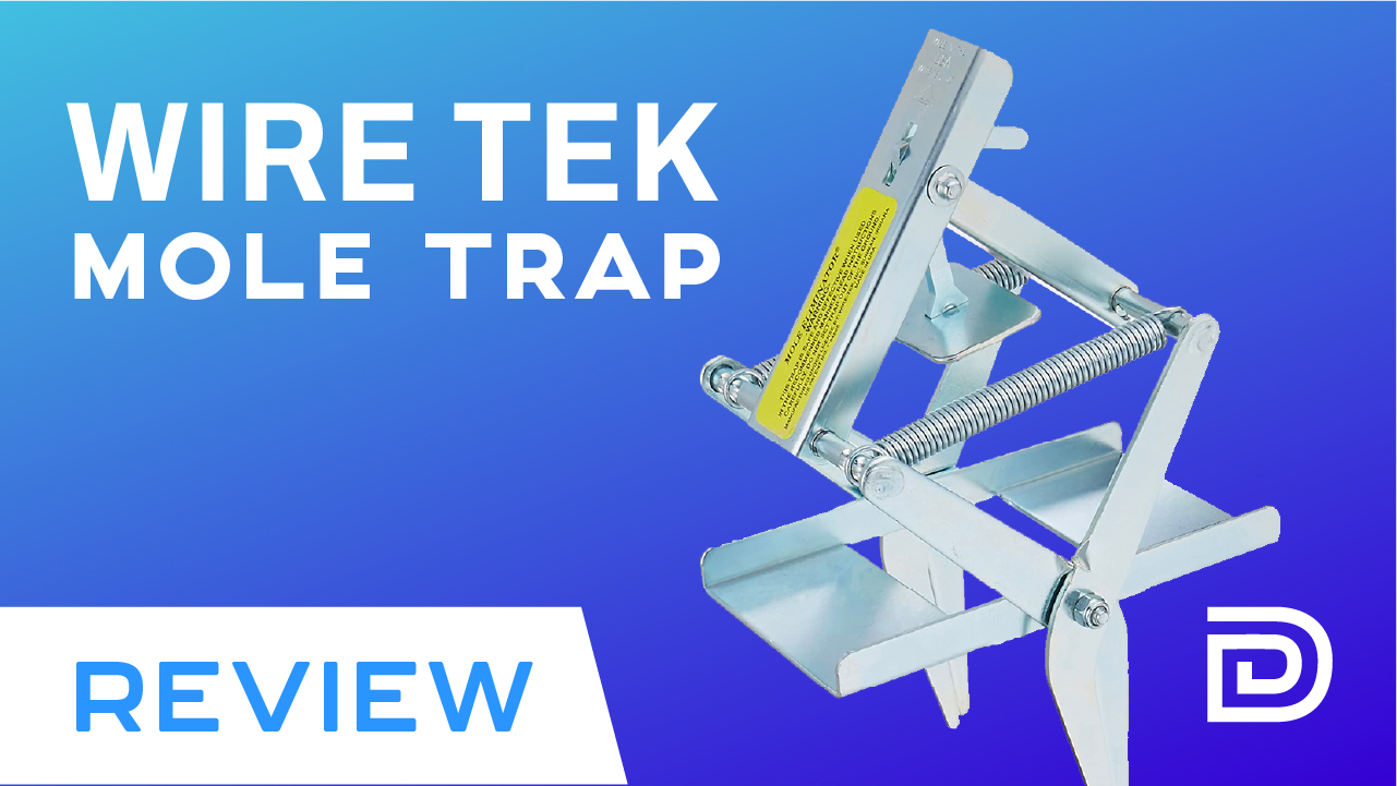 Watch Wire Tek 1001 EasySet Mole Eliminator Trap Review on Amazon Live