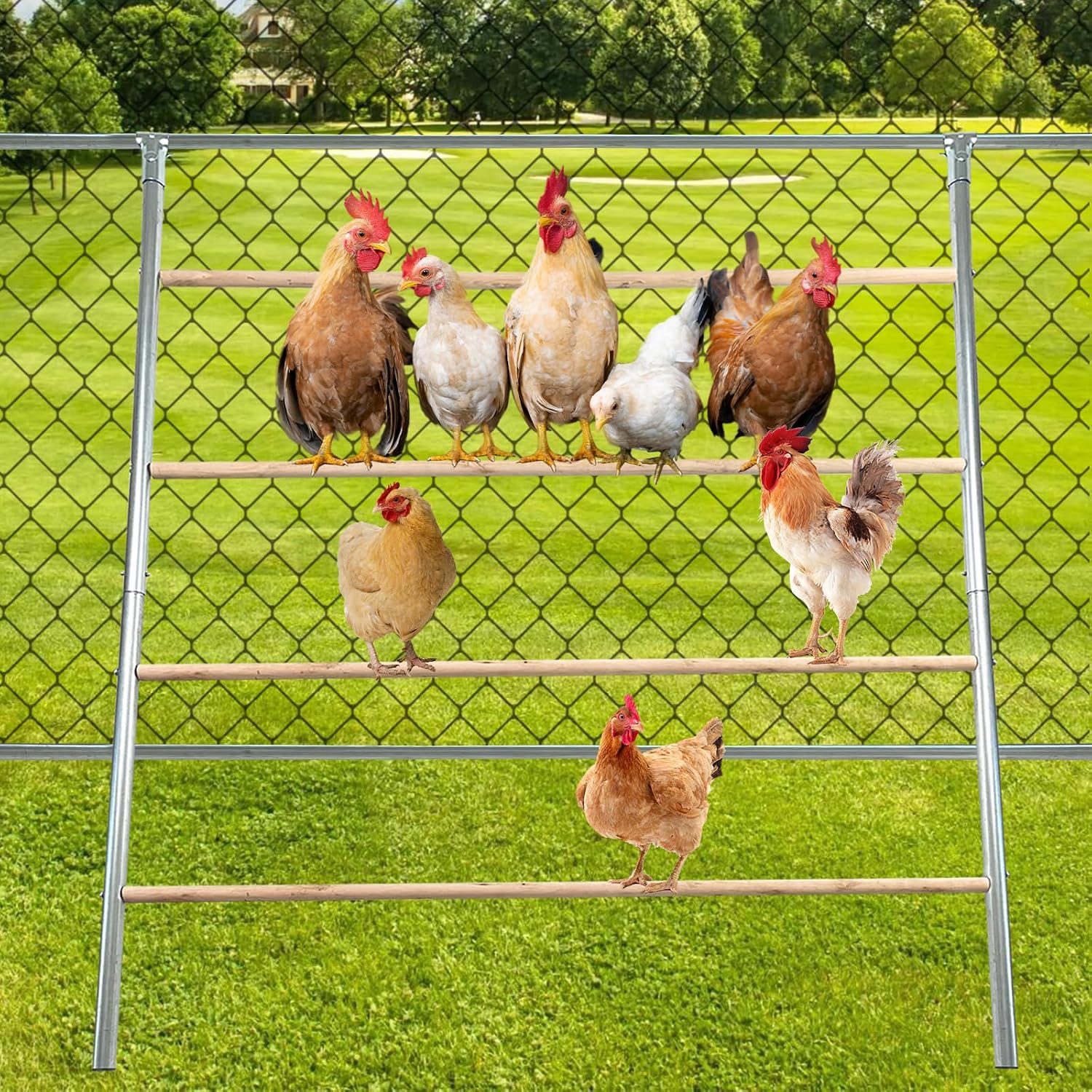 Amazon.com : FlidRunest Extra Large Chicken Perch, Wooden Chicken ...
