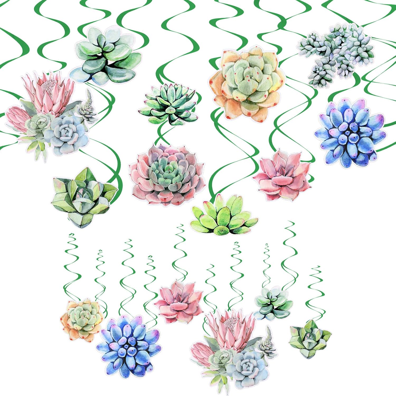 Amazon.com: AnyDesign 46Pcs Succulent Plants Hanging Swirls Decoration ...