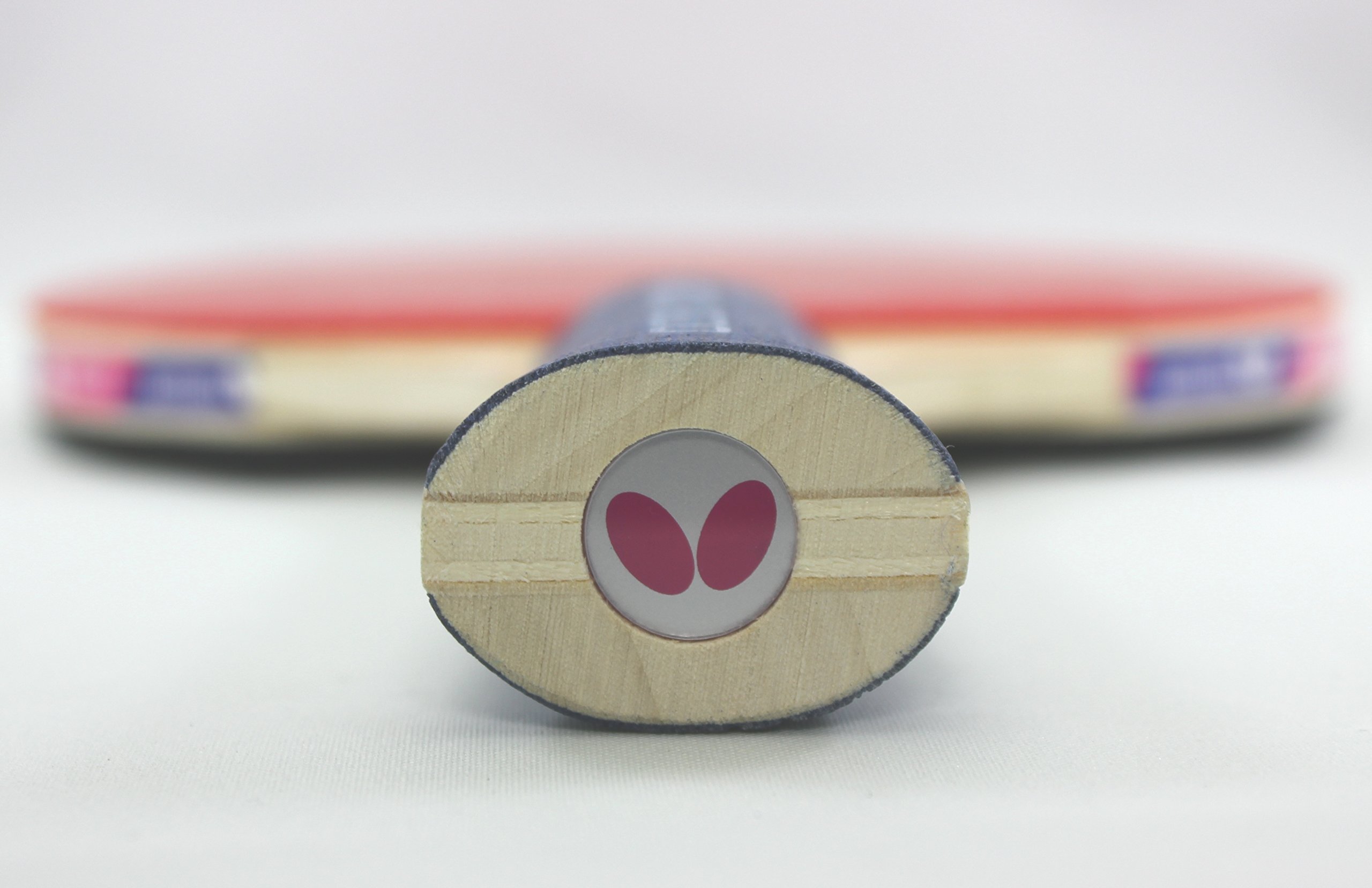 Butterfly Addoy Table Tennis...B00DCTAZKQ | Encarguelo.com