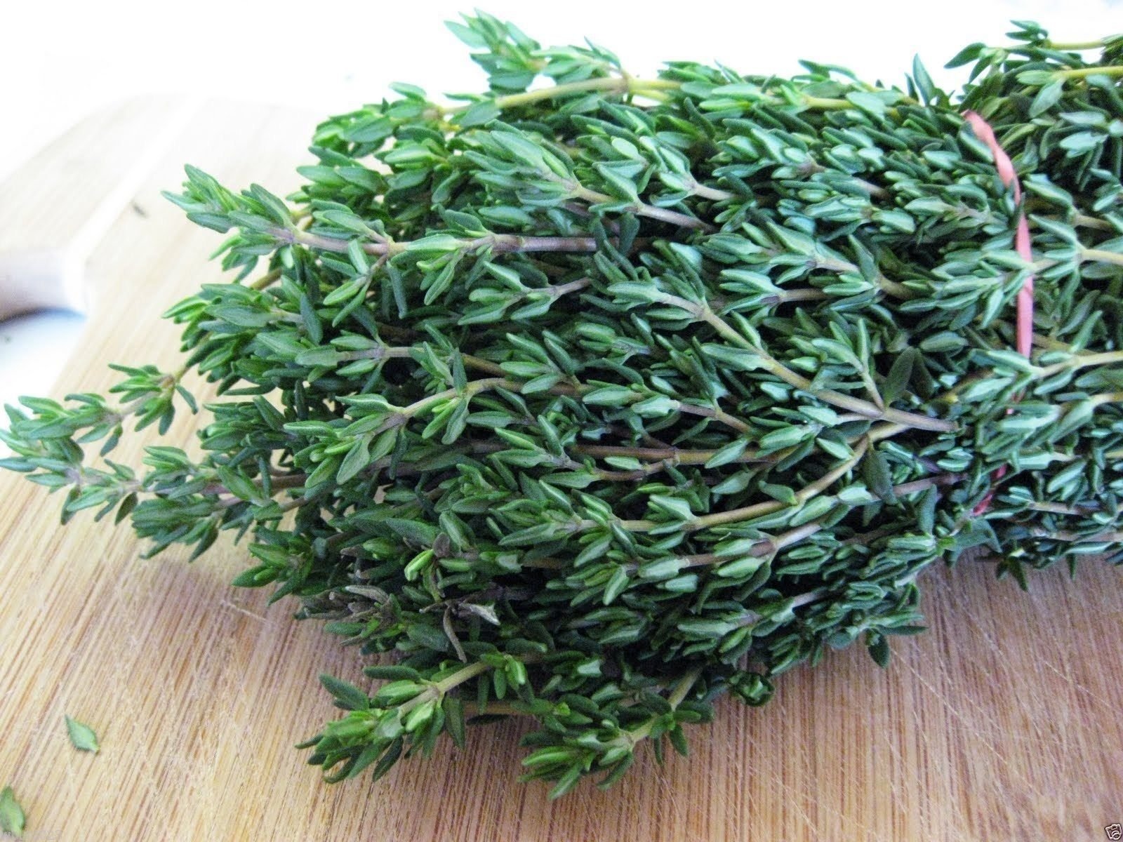 Thyme Leaves In Hindi