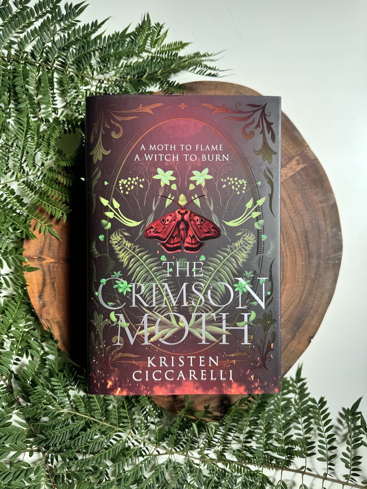 Heartless Hunter: The Crimson Moth: Book 1 : Ciccarelli, Kristen ...