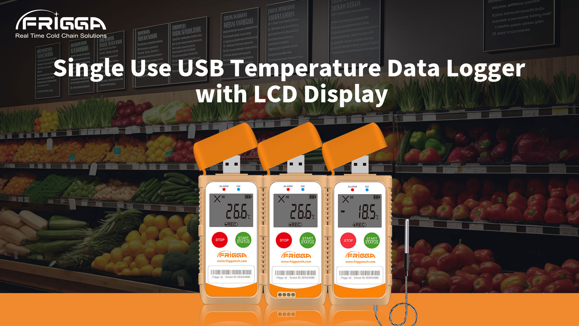 Watch Frigga M1 Series Single Use LCD Temperature Data Logger on Amazon ...