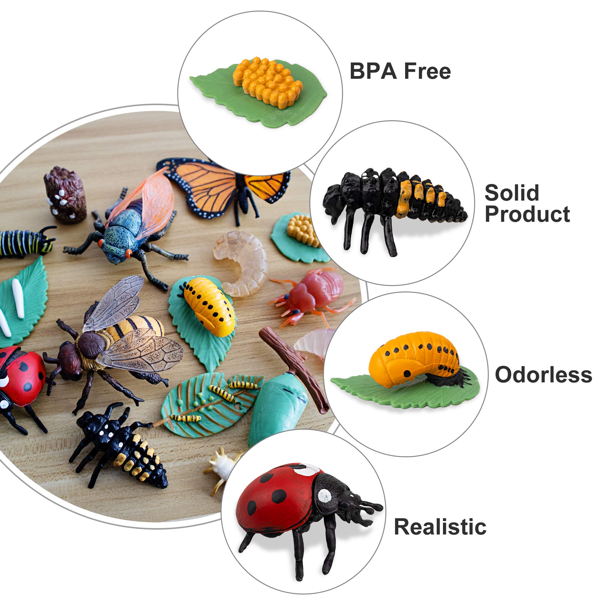 TOYMANY 16PCS Insect Figurines Life Cycle of Monarch Butterfly,Honey ...