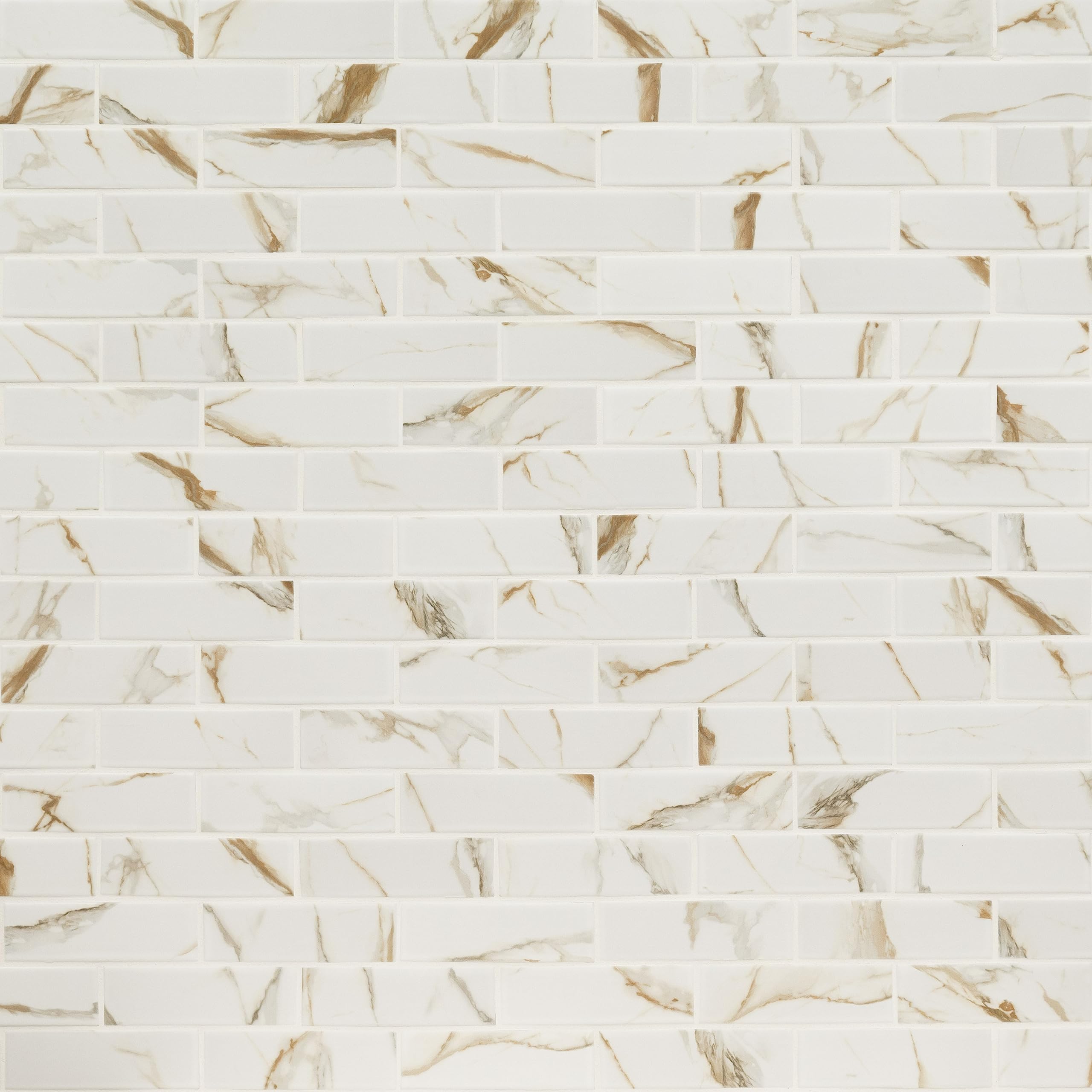 MSI Calacatta Gold 12 in. x 12 in. Matte Porcealin Tile for Kitchen ...