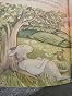 Agnes and the Sheep (Agnes and Friends): Rowley, Elle, Gray, Clare ...