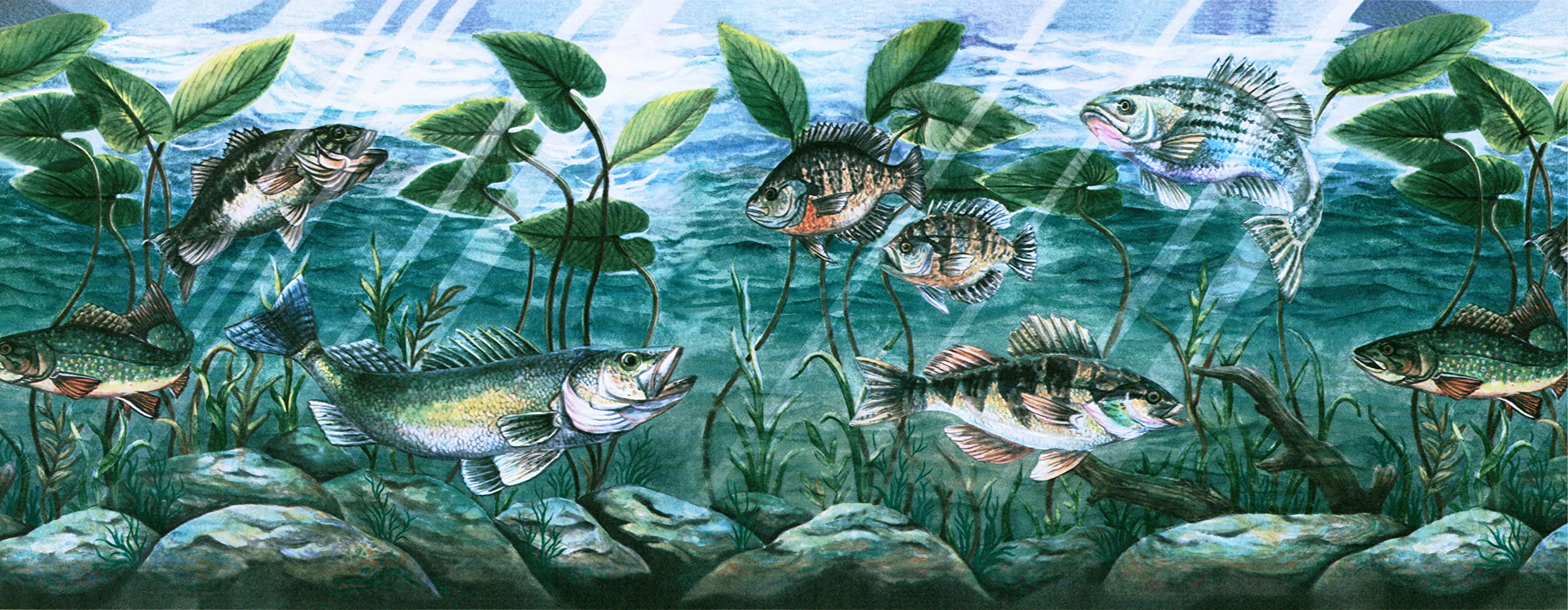 Wallpaper Of The Amazon River Fish