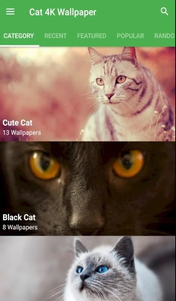 [FREE] HD Cat Wallpaper - App on the Amazon Appstore