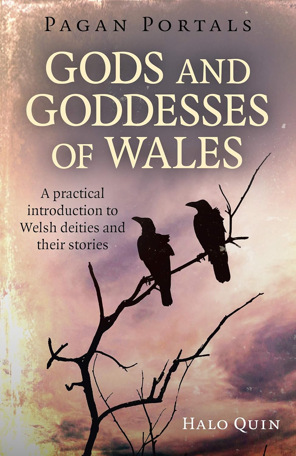 Pagan Portals - Gods and Goddesses of Wales: A Practical Introduction ...