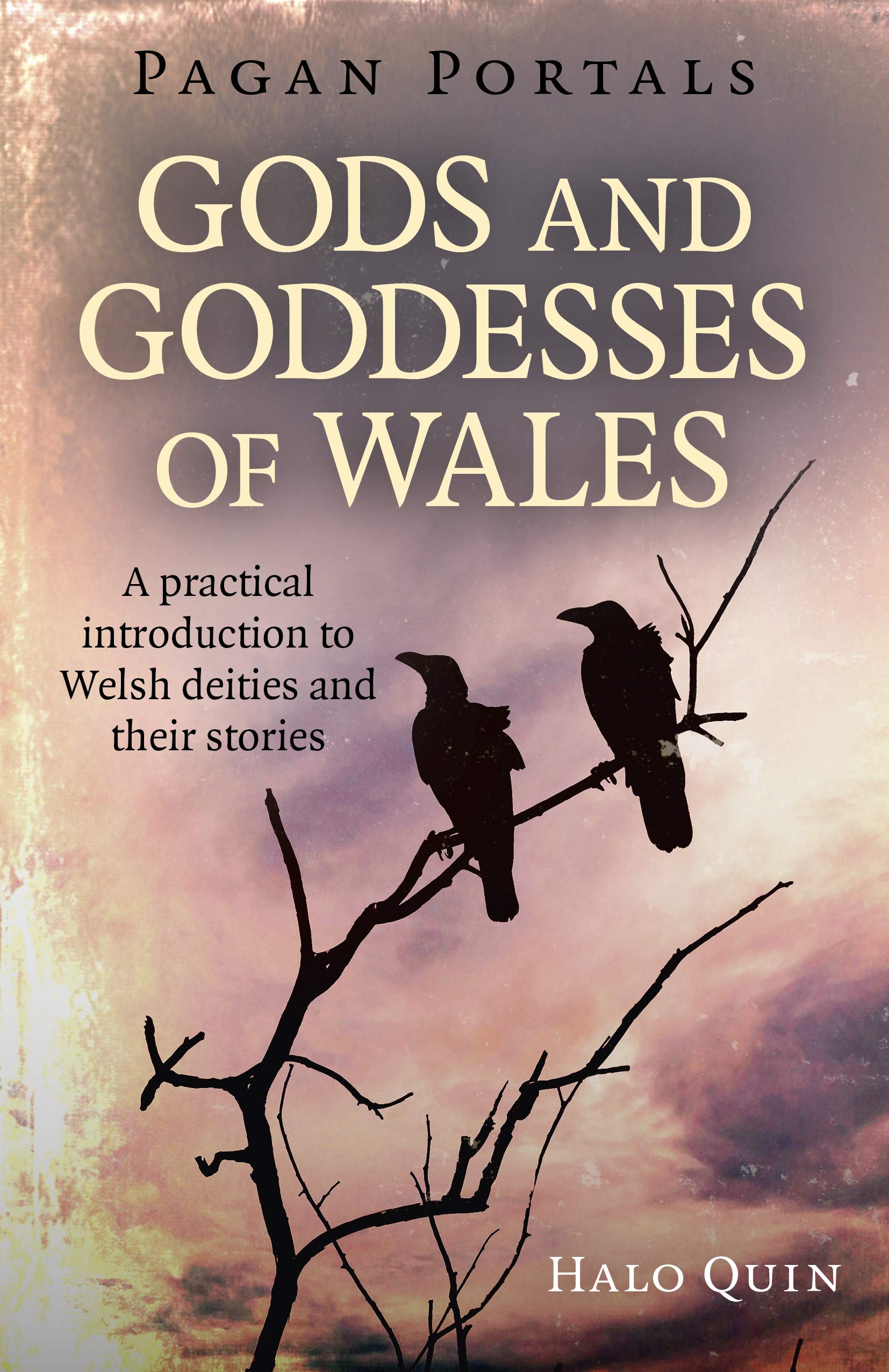 Pagan Portals Gods And Goddesses Of Wales A Practical Introduction ...