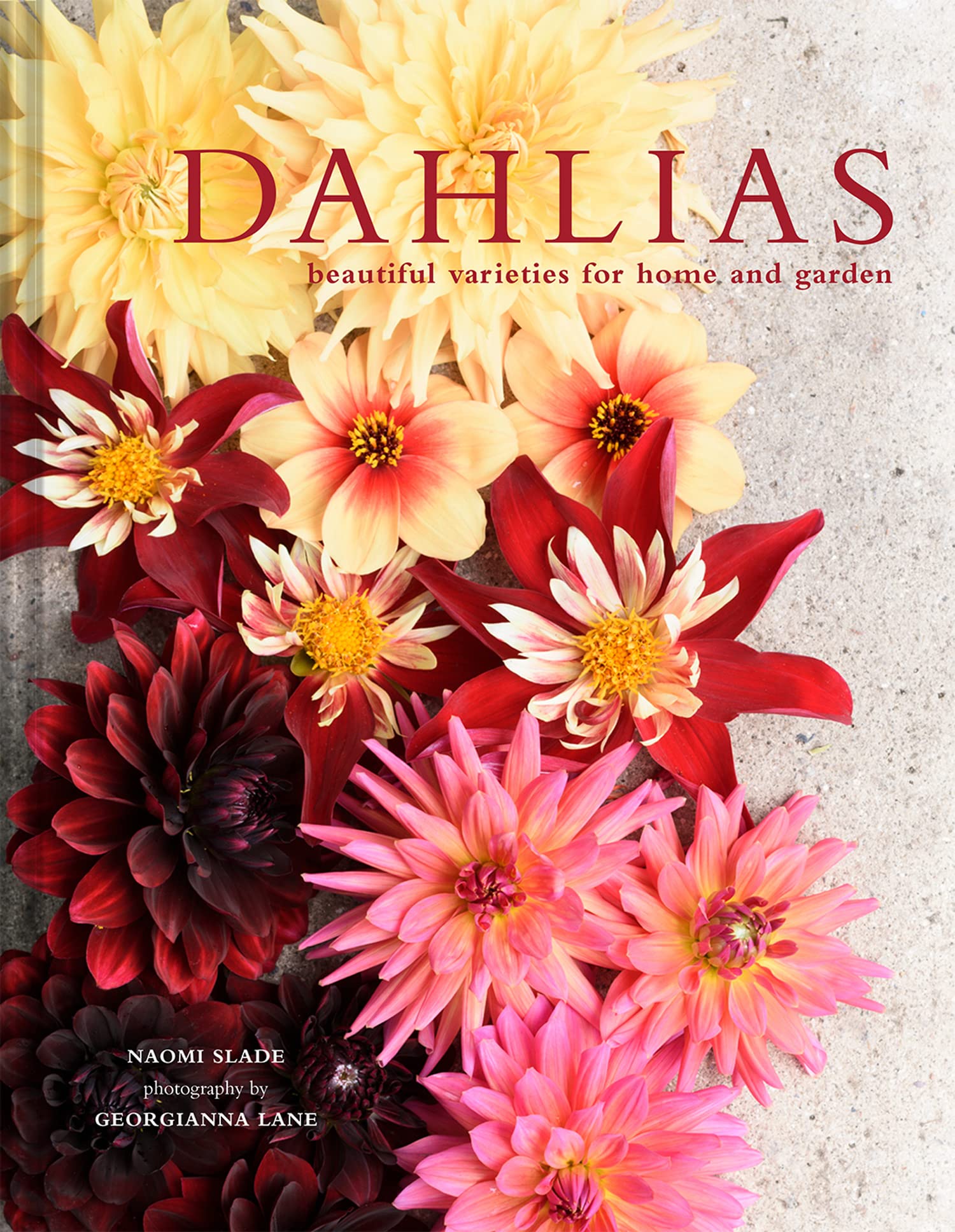Dahlias: The ultimate flower guide for growing, flowering and cutting ...