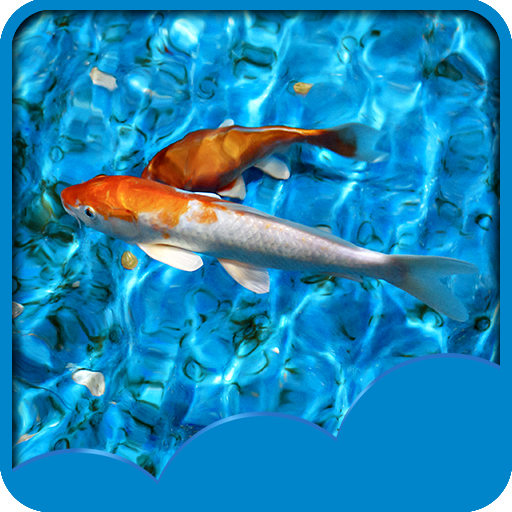 Fish Animated Wallpaper Hd