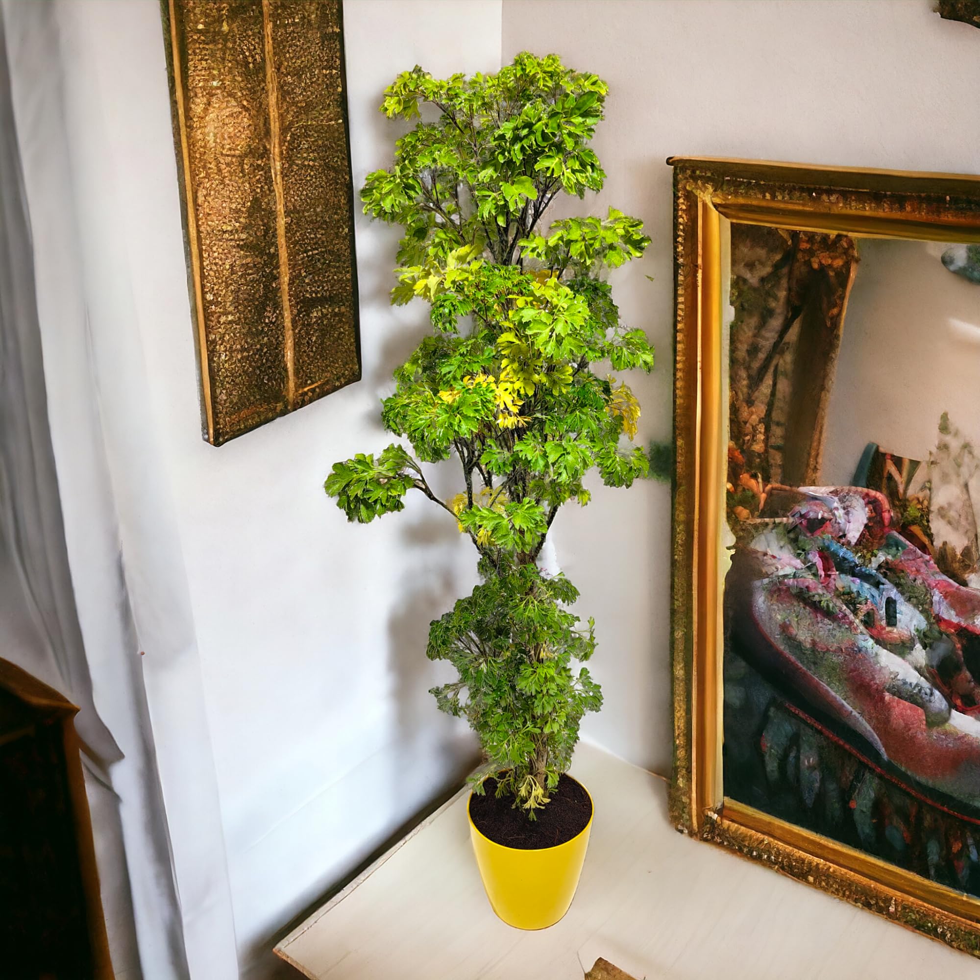 Native Earth® Aralia Green Plant Indoor Air Purifier Tree Live Indoor ...