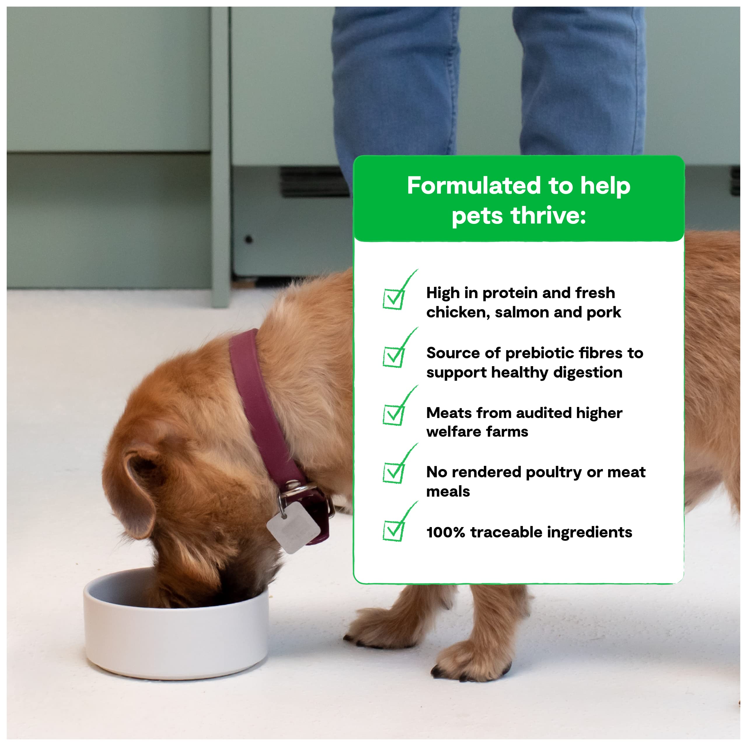 BW Technologies BWC2-X BW Clip Single Gas O2 Monitor, 19.5/23.5, Yellow