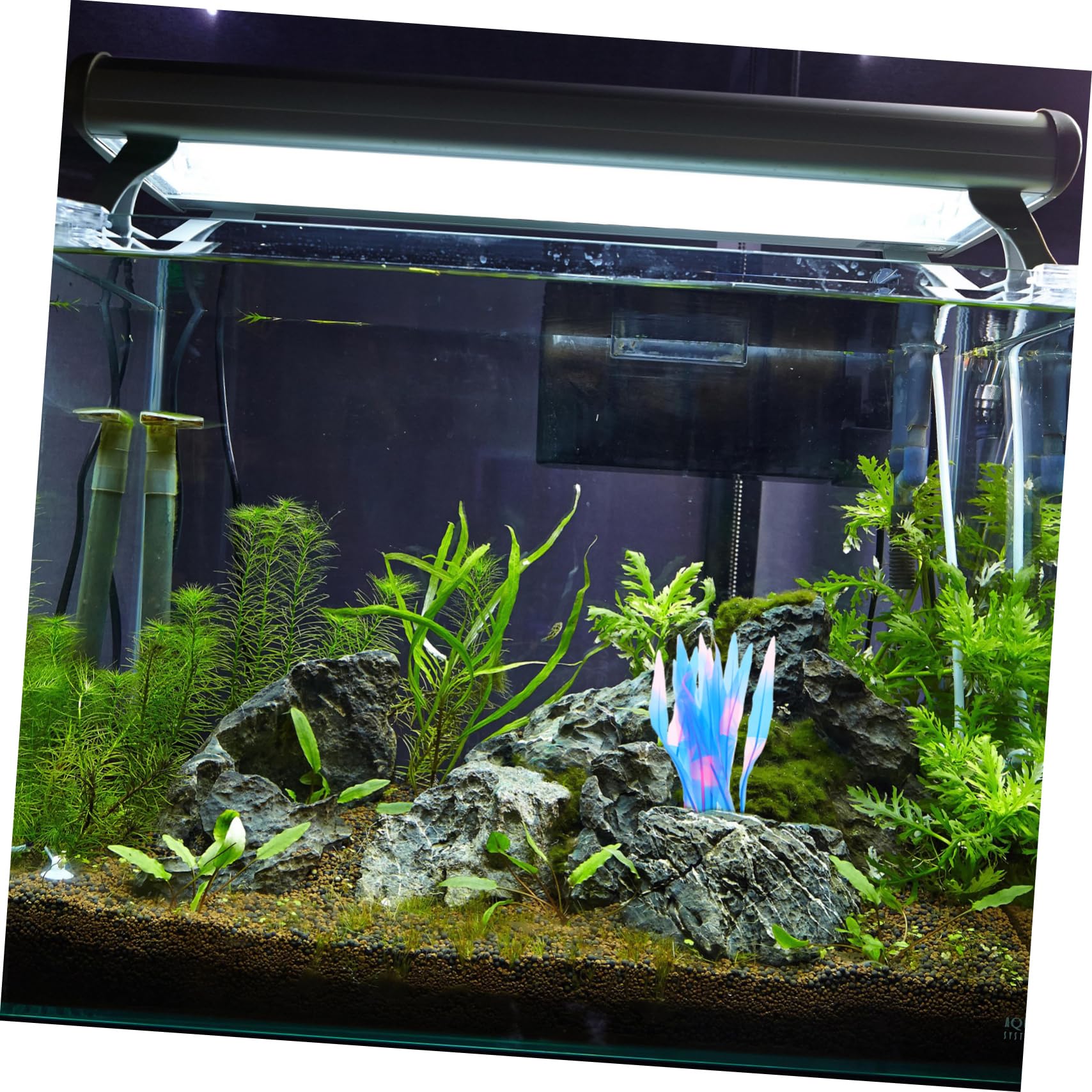 Aquarium Freshwater Large Branching Tree