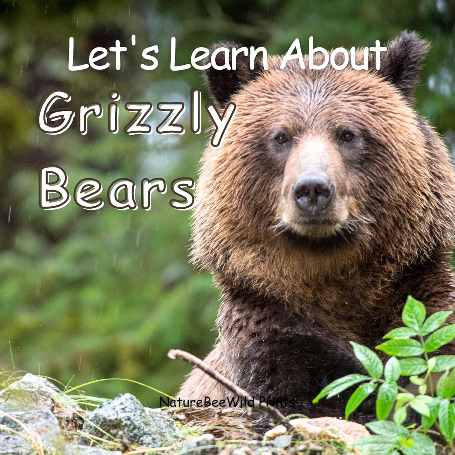Let's Learn About Grizzly Bears (Let's Learn About Animals) - Kindle ...