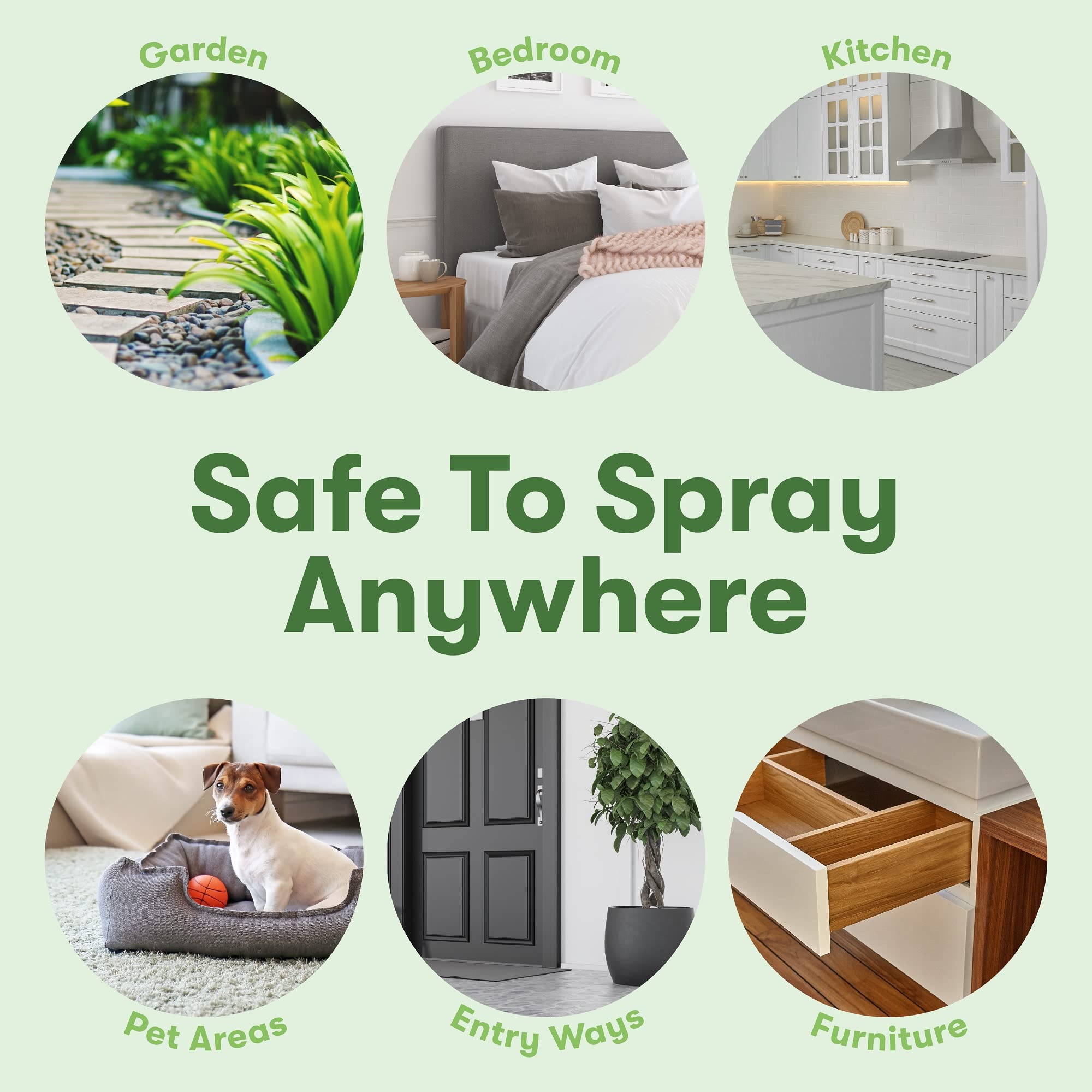 Buy BugMD - Pest Control Essential Oil Concentrate 3.7 oz - Natural Bug ...