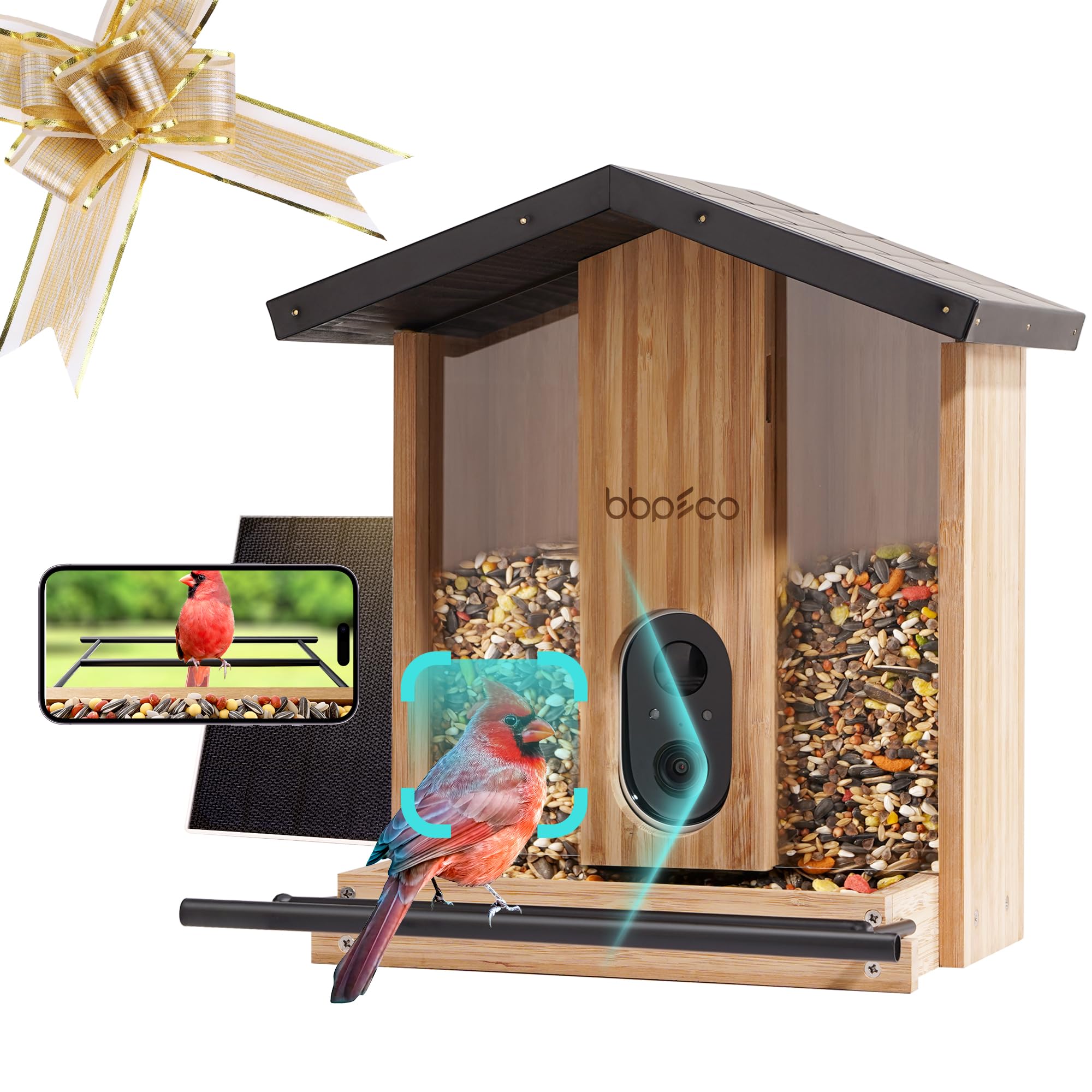 Amazon.com : BBPECO Bird Feeder with Camera Solar Powered, Smart Bird ...
