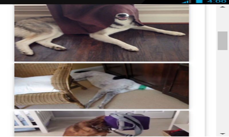 Hiding Meme Generator. - Application sur Amazon Appstore