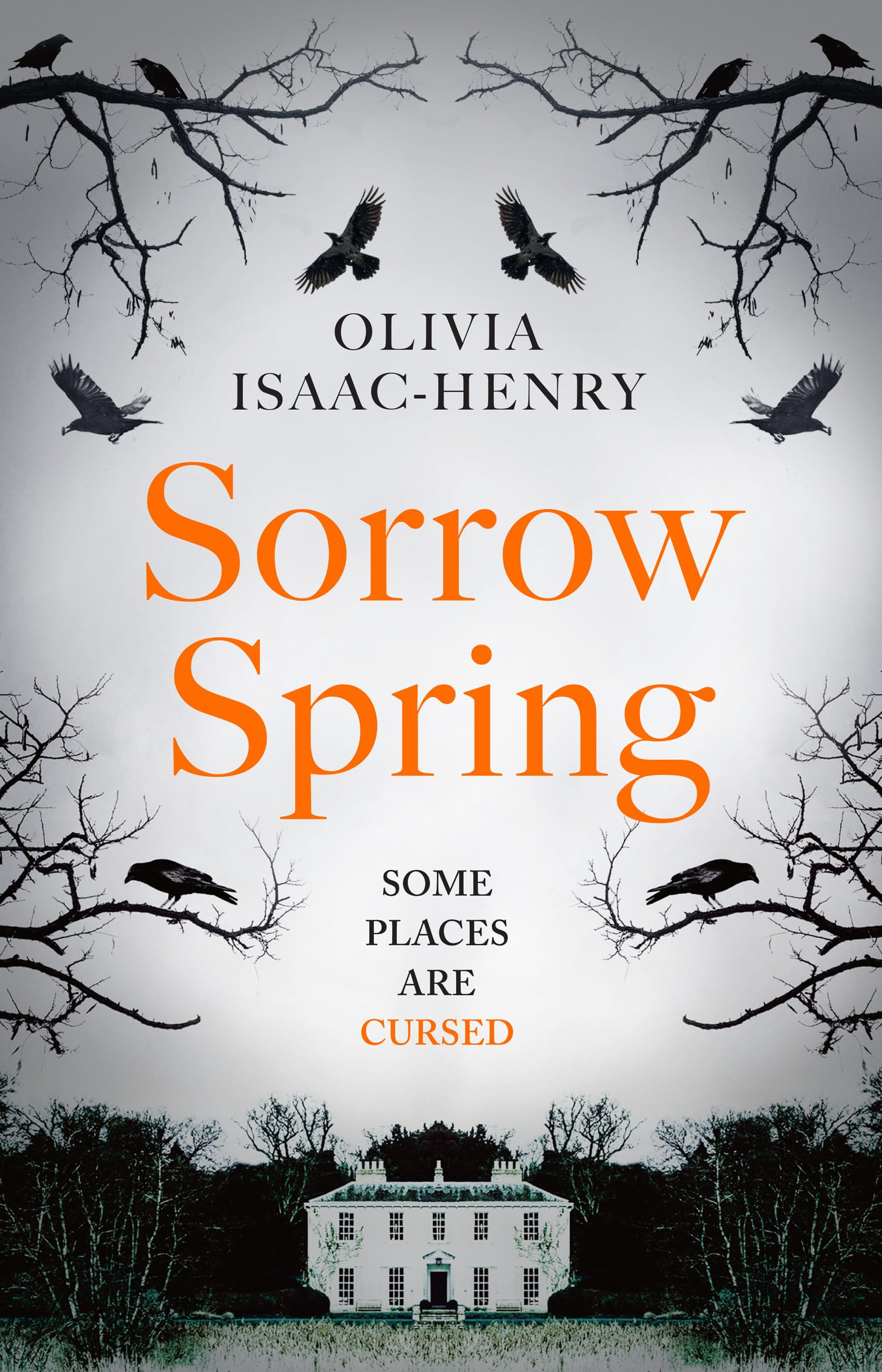 Sorrow Spring: the new chilling, dark, folk suspense novel of twisted ...