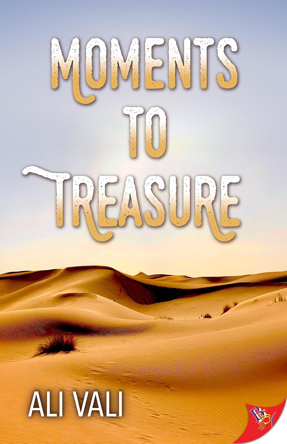 Amazon.com: Moments to Treasure: 9781636794730: Vali, Ali: Books