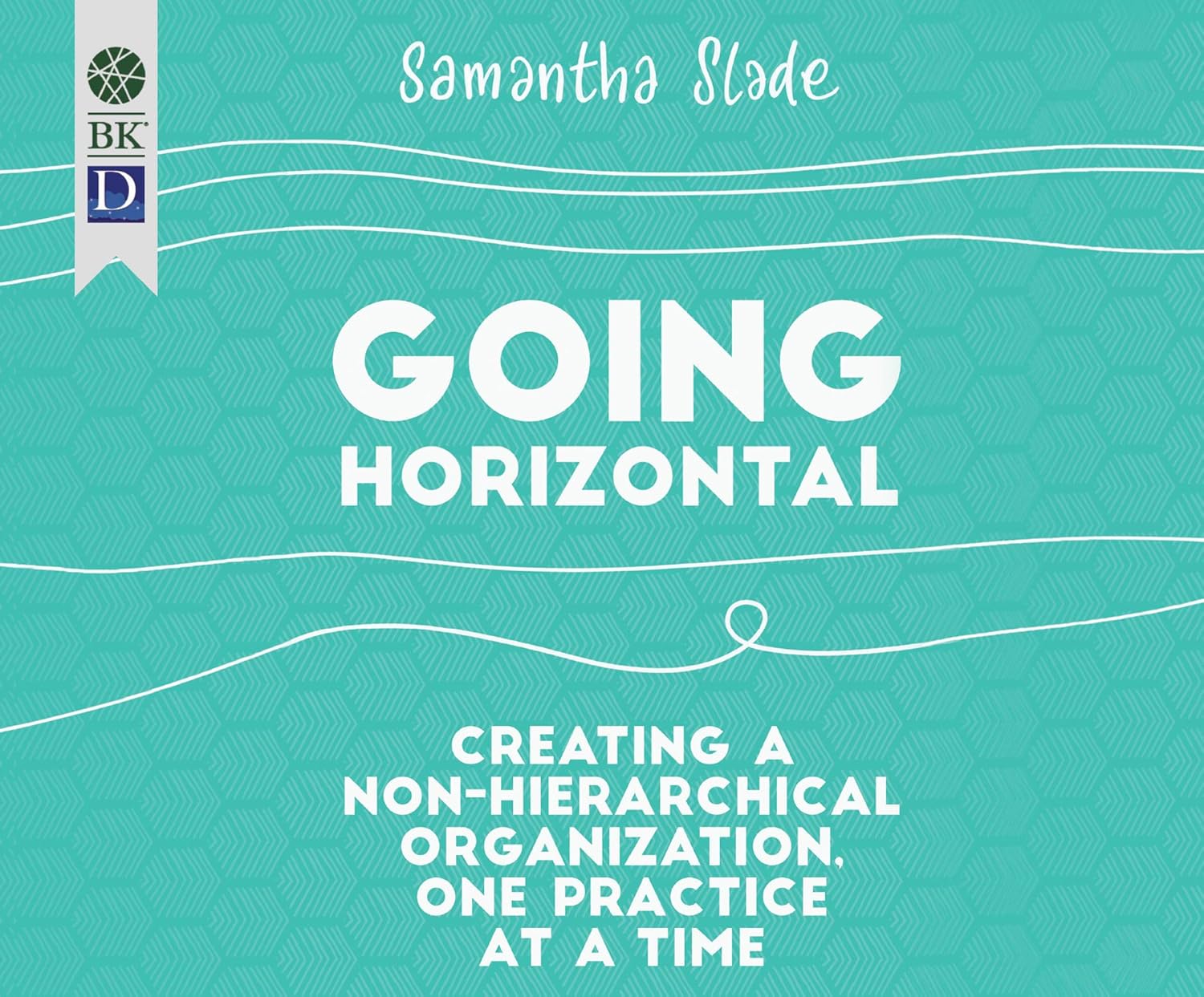 Going Horizontal: Creating a Non-Hierarchical Organization, One ...