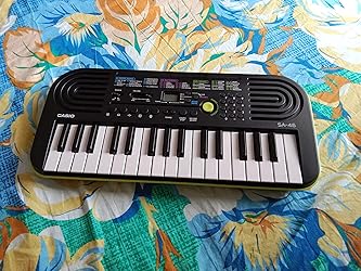 Casio SA-46 32 Mini Keys Musical Keyboard with Piano tones, Black/Green ...