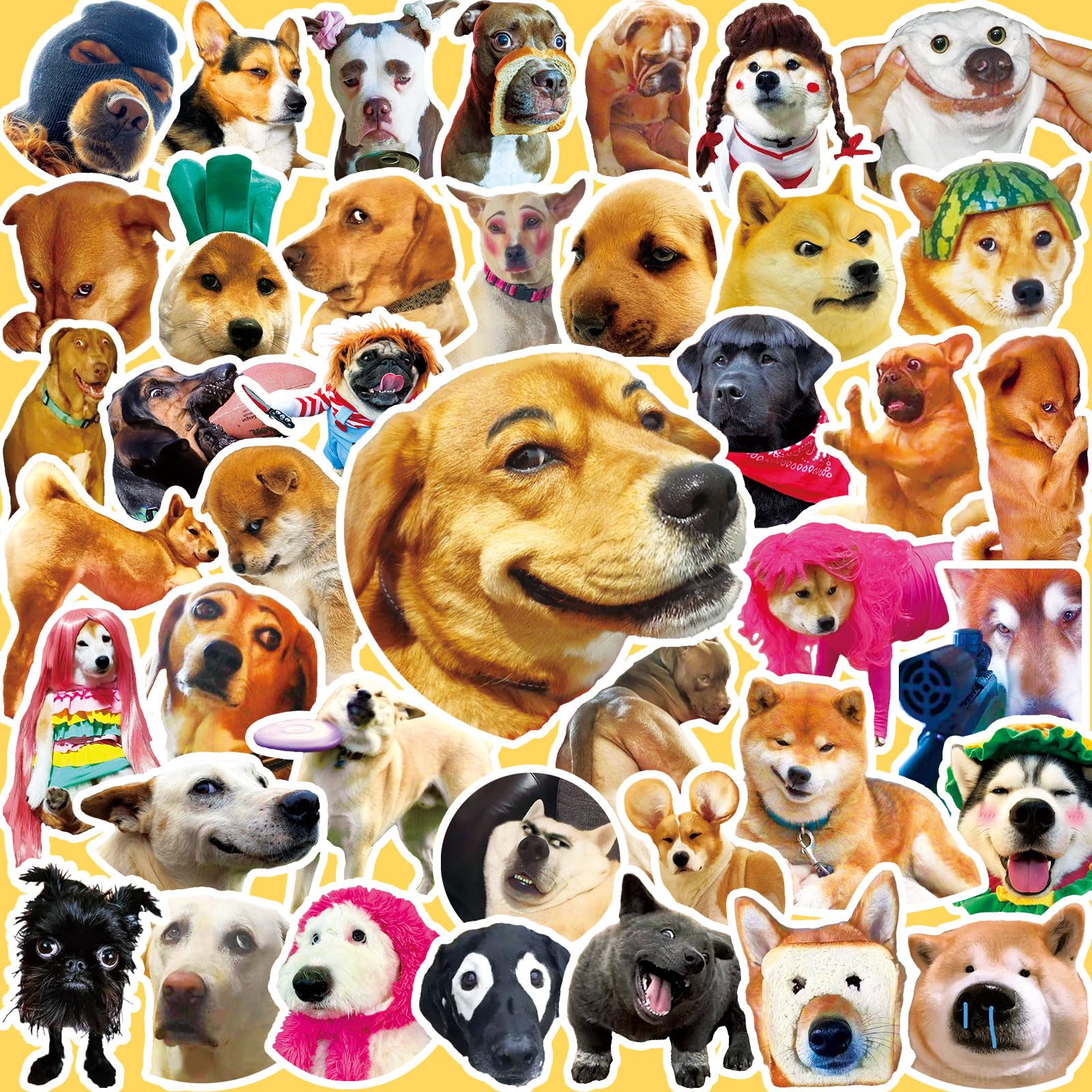 Amazon.com: 100 PCS Funny Dog Meme Stickers, Cute Stickers for Adults ...