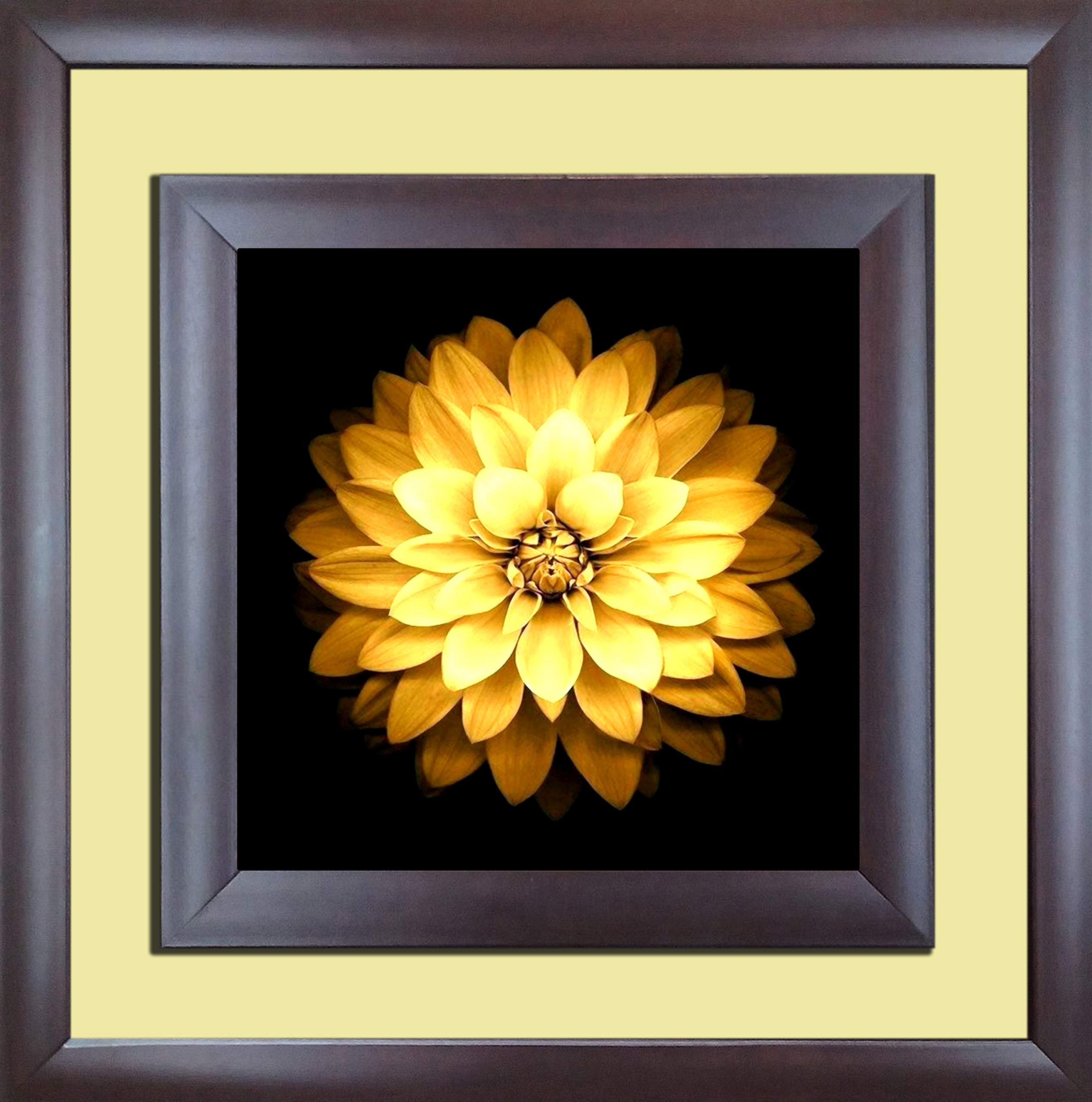 Beautiful Photo Frames Effects