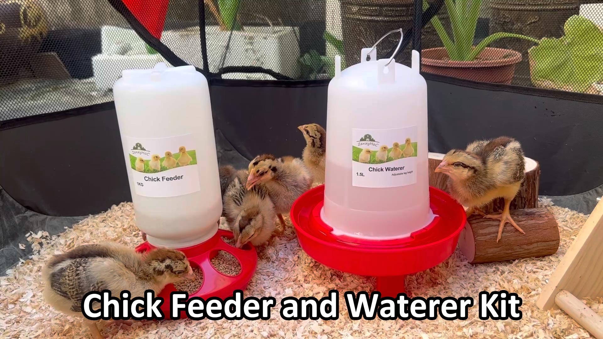 Watch Chick Feeder Waterer Kit on Amazon Live