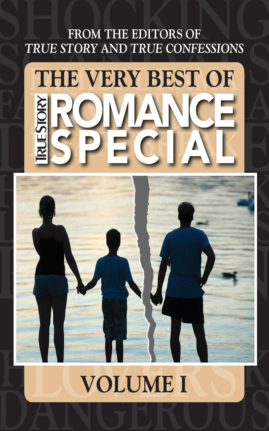 Amazon.com: The Very Best Of True Story Romance Special Volume I eBook ...