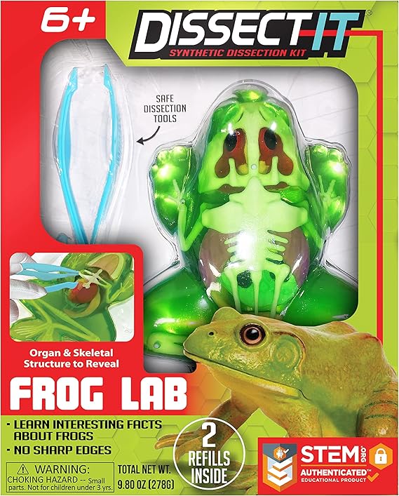 Amazon.com: A Synthetic Frog Dissection kit