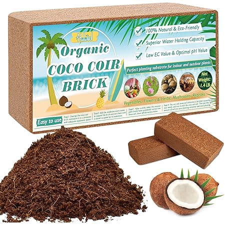 Amazon.com : Riare 2pcs Organic Coco Coir Bricks Soil Blocks- 100% ...