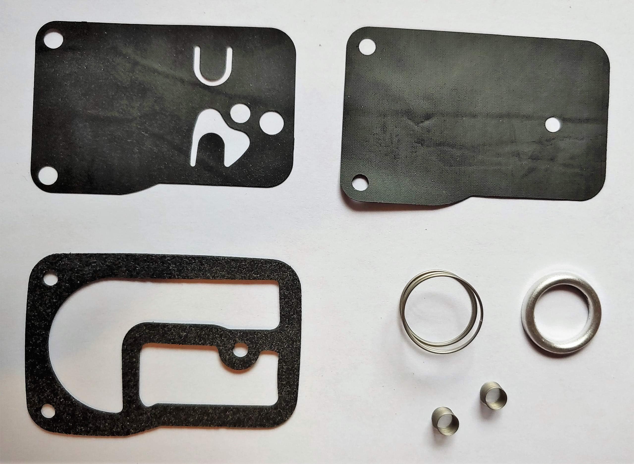 Amazon.com : Genuine Briggs & Stratton 393397 Fuel Pump Kit : Lawn And ...