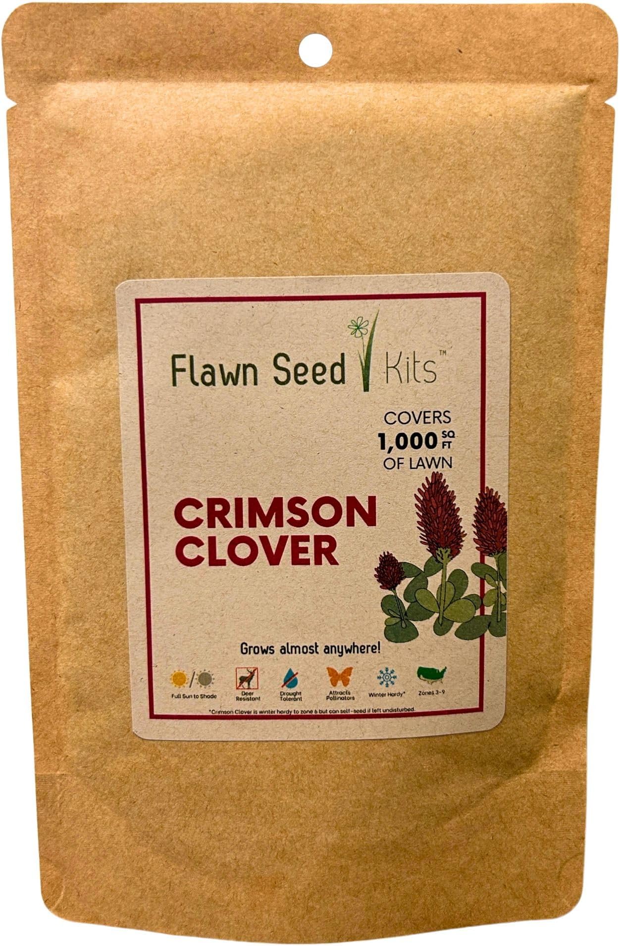Amazon.com : Flawn Seed Self-Heal 'Prunella' Seed - Kid, Pet ...
