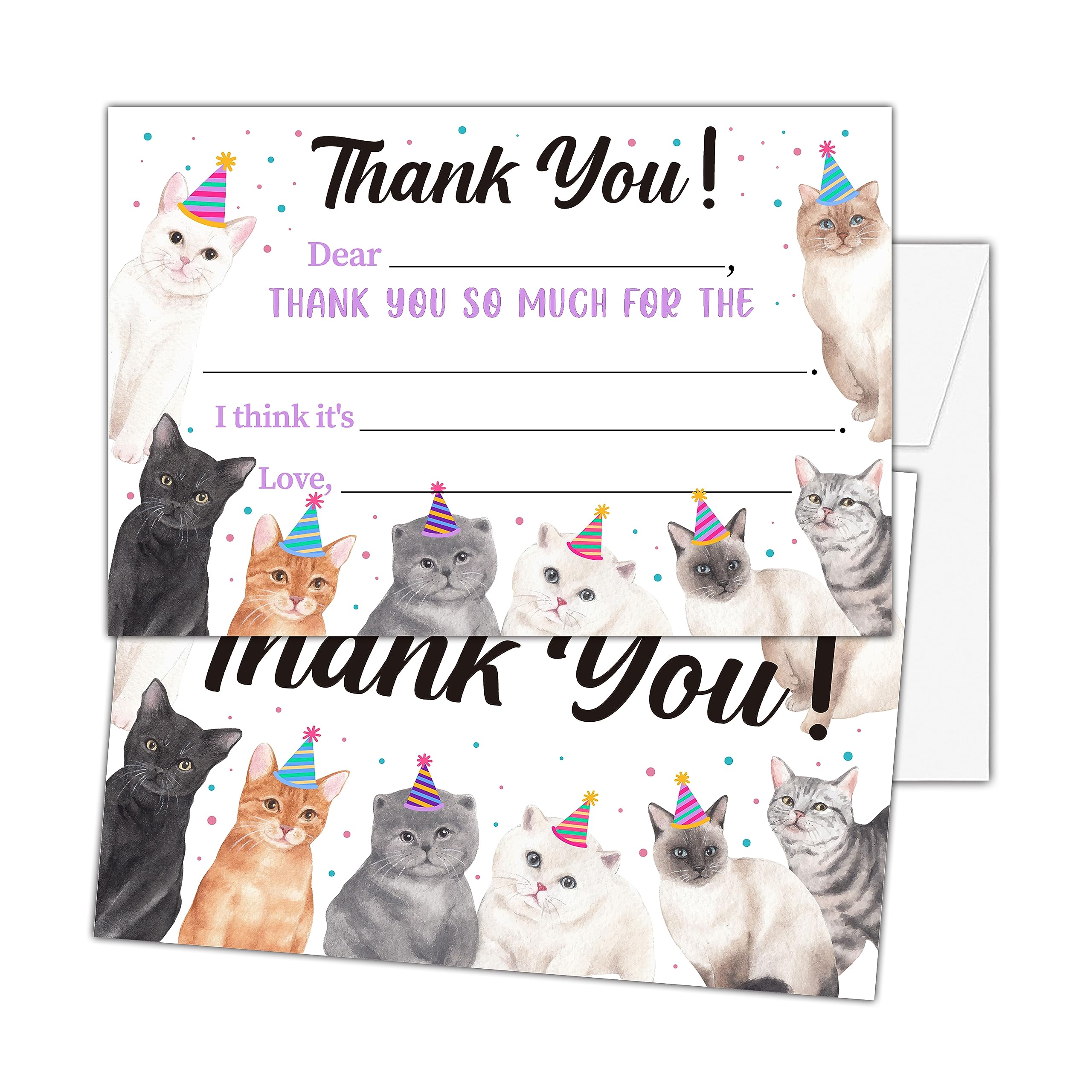 Cute Thank You Cat