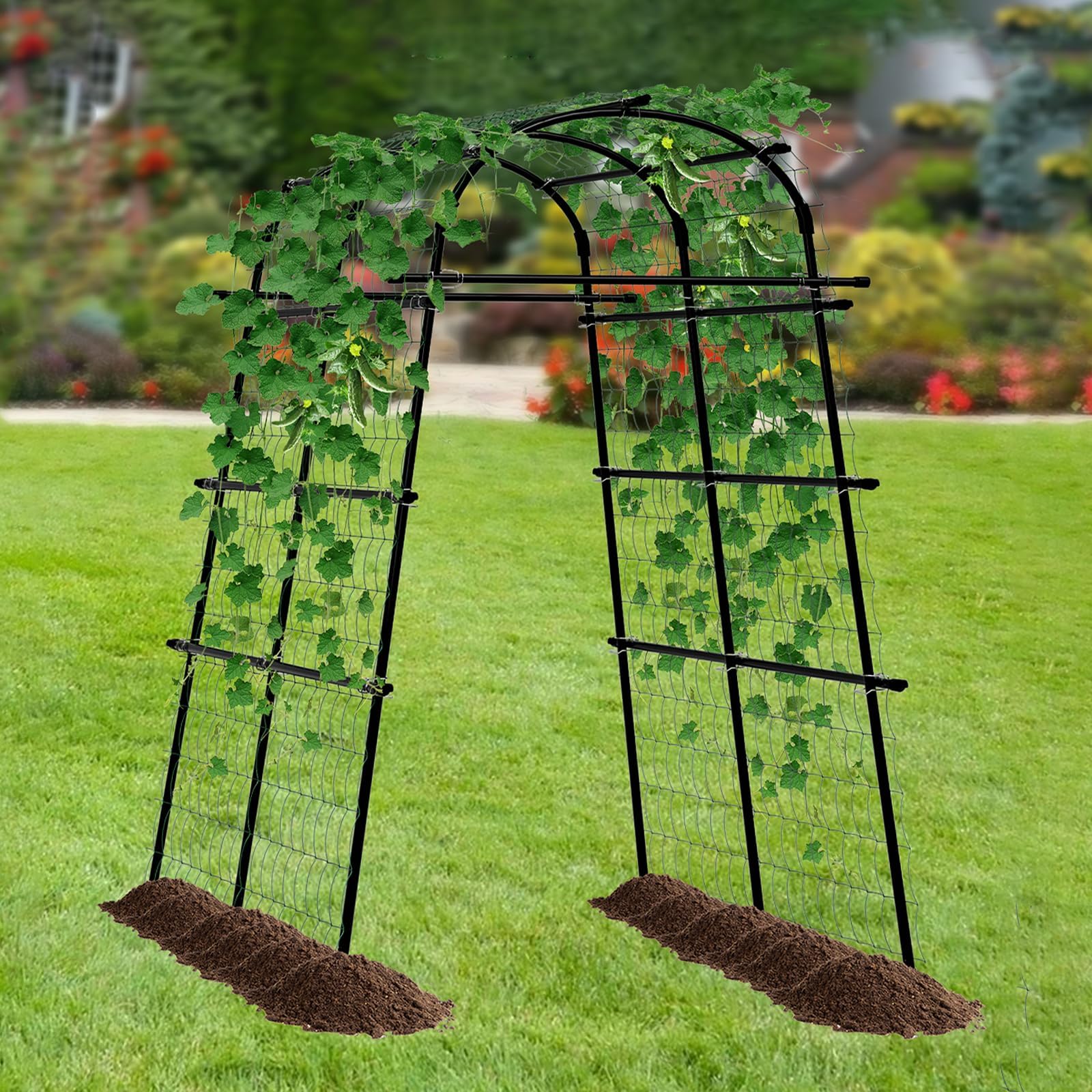 Amazon.com : AGTEK 87in Garden Arch Trellis for Climbing Plants, Garden ...